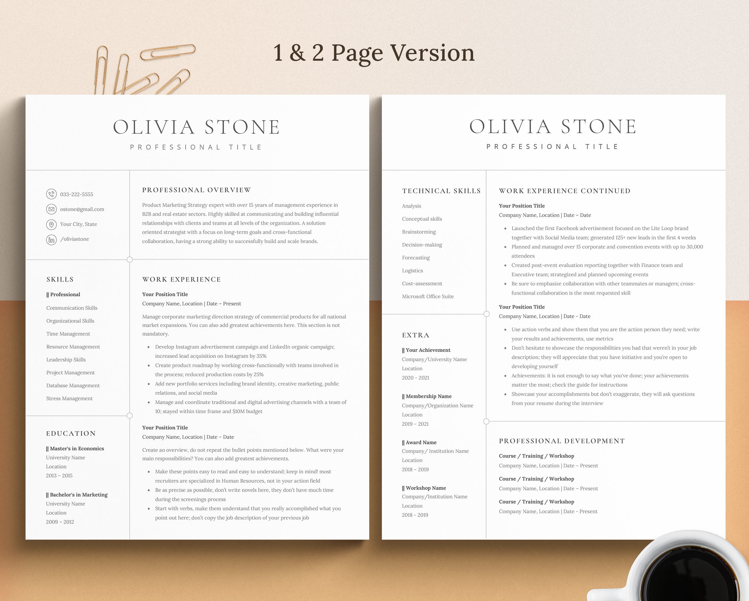 Modern Executive Resume Template 2021 for Word, Google Docs, Mac Pages ...