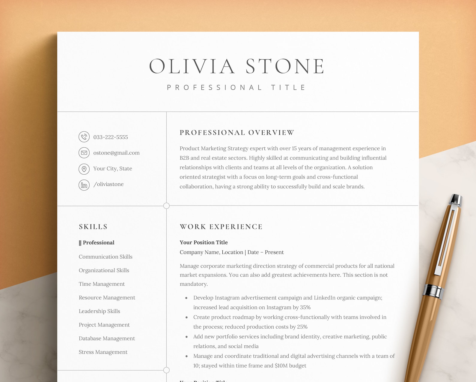 Modern Executive Resume Template 2021 for Word, Google Docs, Mac Pages ...