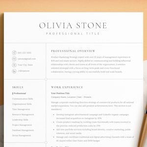 Modern Executive Resume Template 2021 for Word, Google Docs, Mac Pages ...