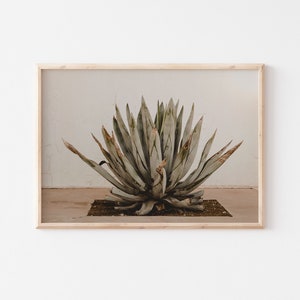 Agave - Etsy