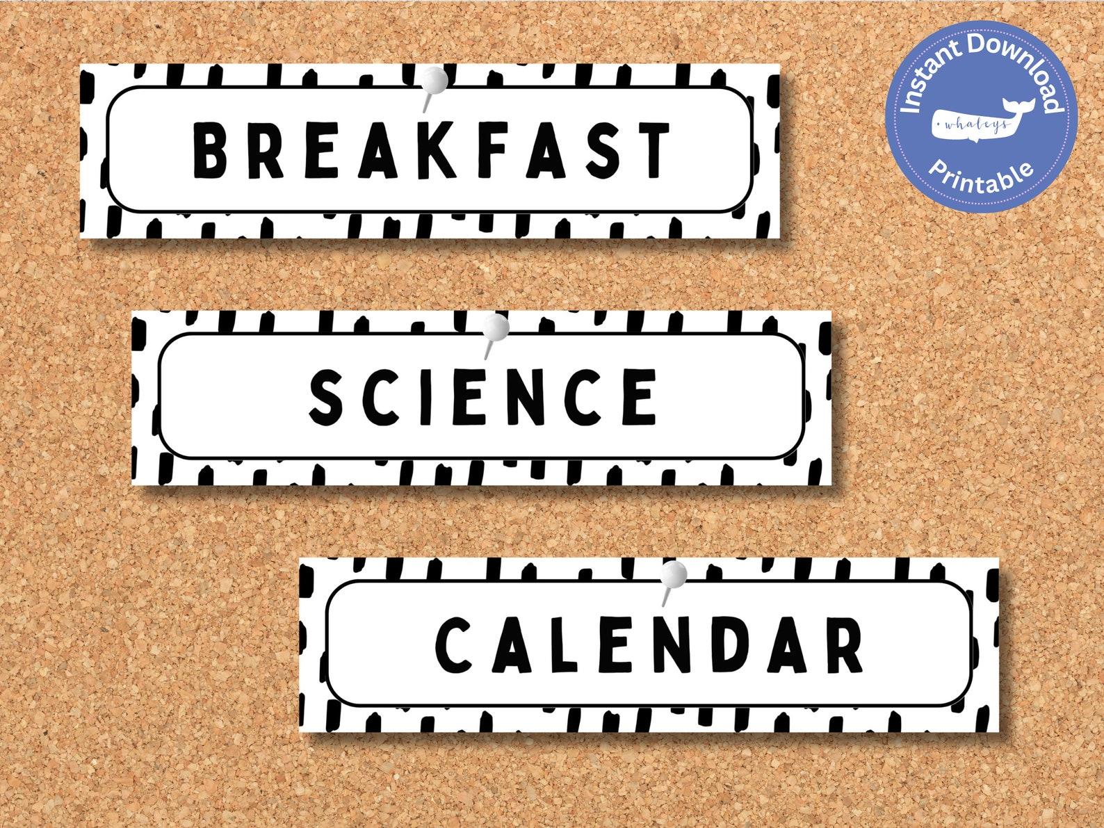 Printable Schedule Cards, School and Classroom Decor, Visual Daily ...