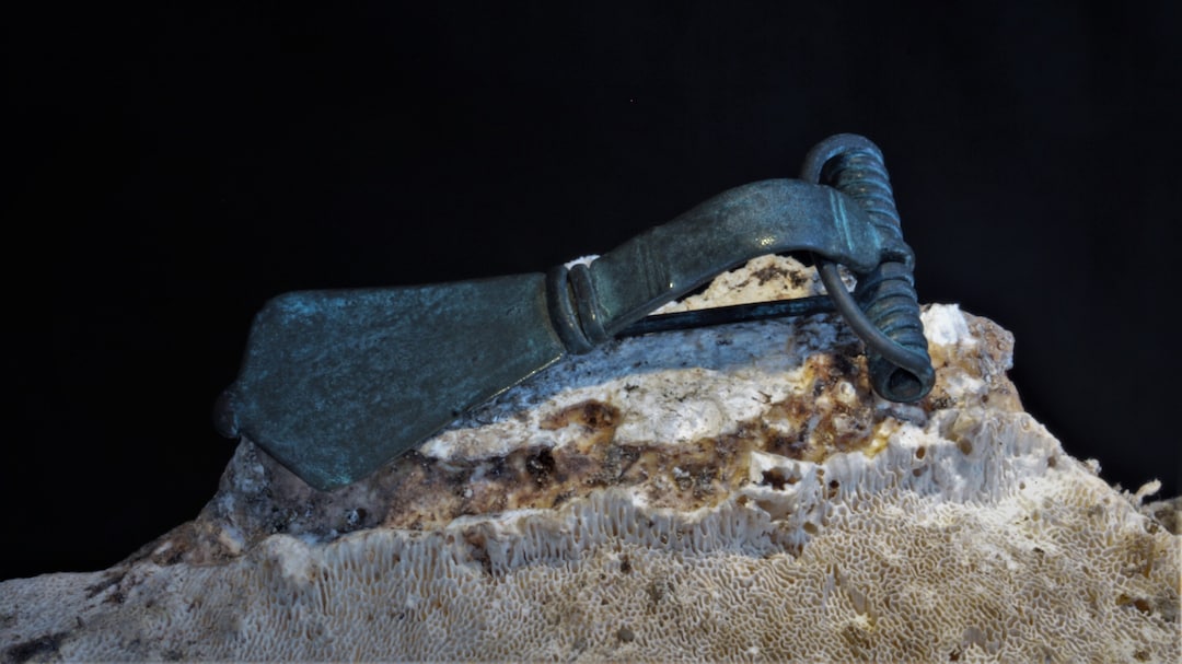 Roman Fibula "the Wolf" or "wolf's Head" Fibula. 2-3st Century AD ...