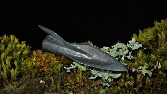 Memorabilia Art & Collectibles Collectibles Ancient Viking Artifact ...