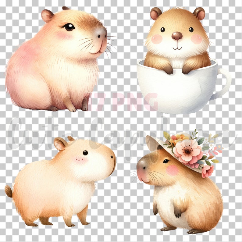 17 PNG Cute Capybara Clip Art, Bundle Capybara PNG for T-shirt, Mugs ...