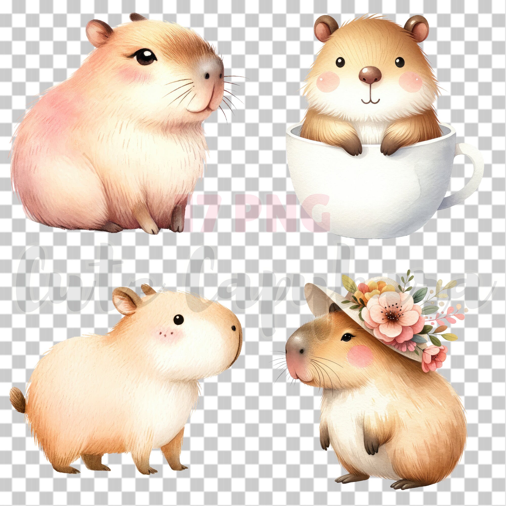 17 PNG Cute Capybara Clip Art, Bundle Capybara PNG for T-shirt, Mugs ...