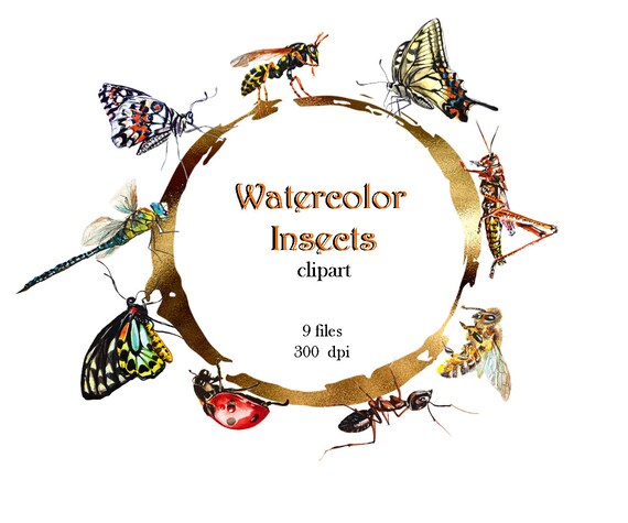 Watercolor Insects Clipart Summer Clipart Bugs Clipart | Etsy