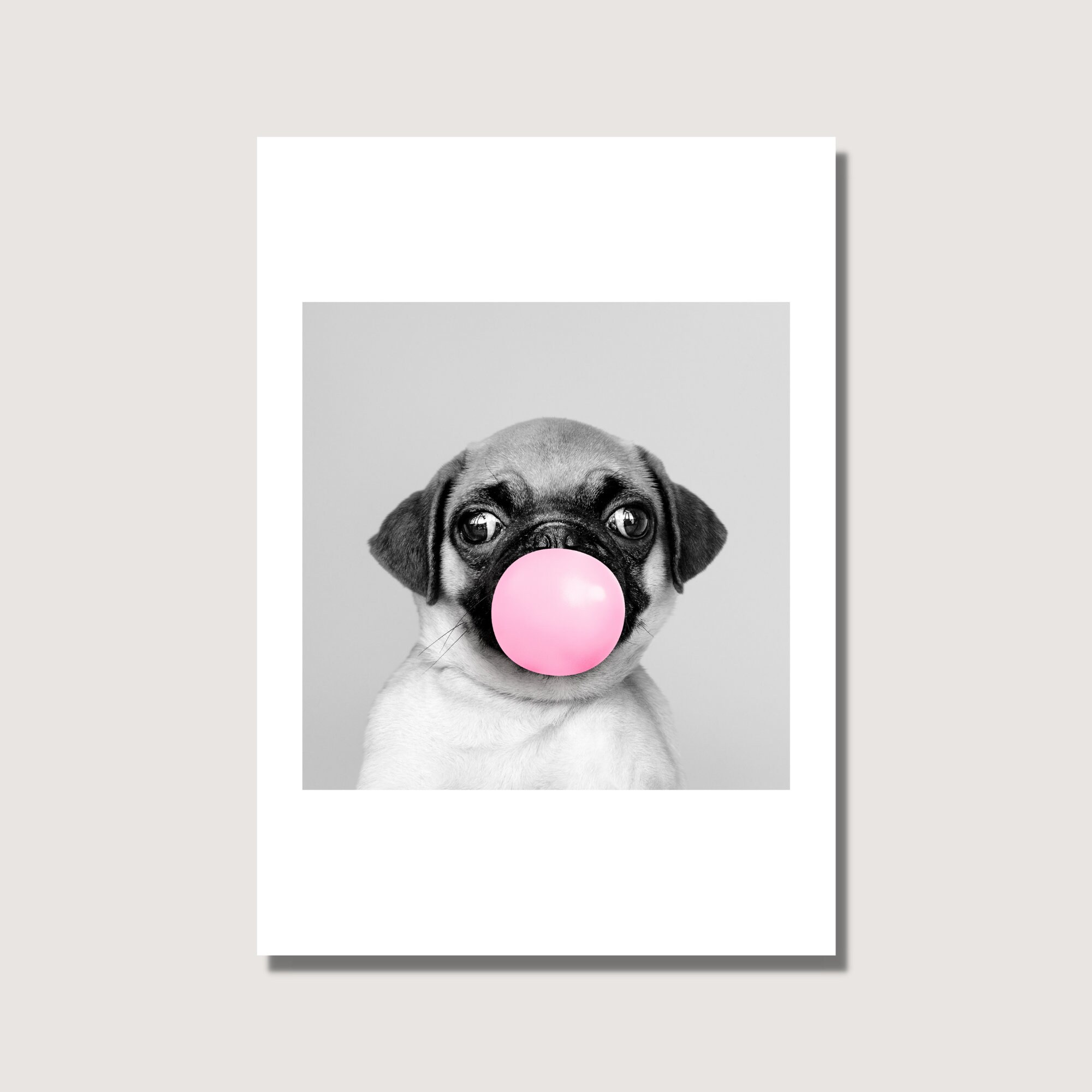 Cute Pug Art, Pink Bubble Gum Art, Modern and Classy Elegant Art Print ...