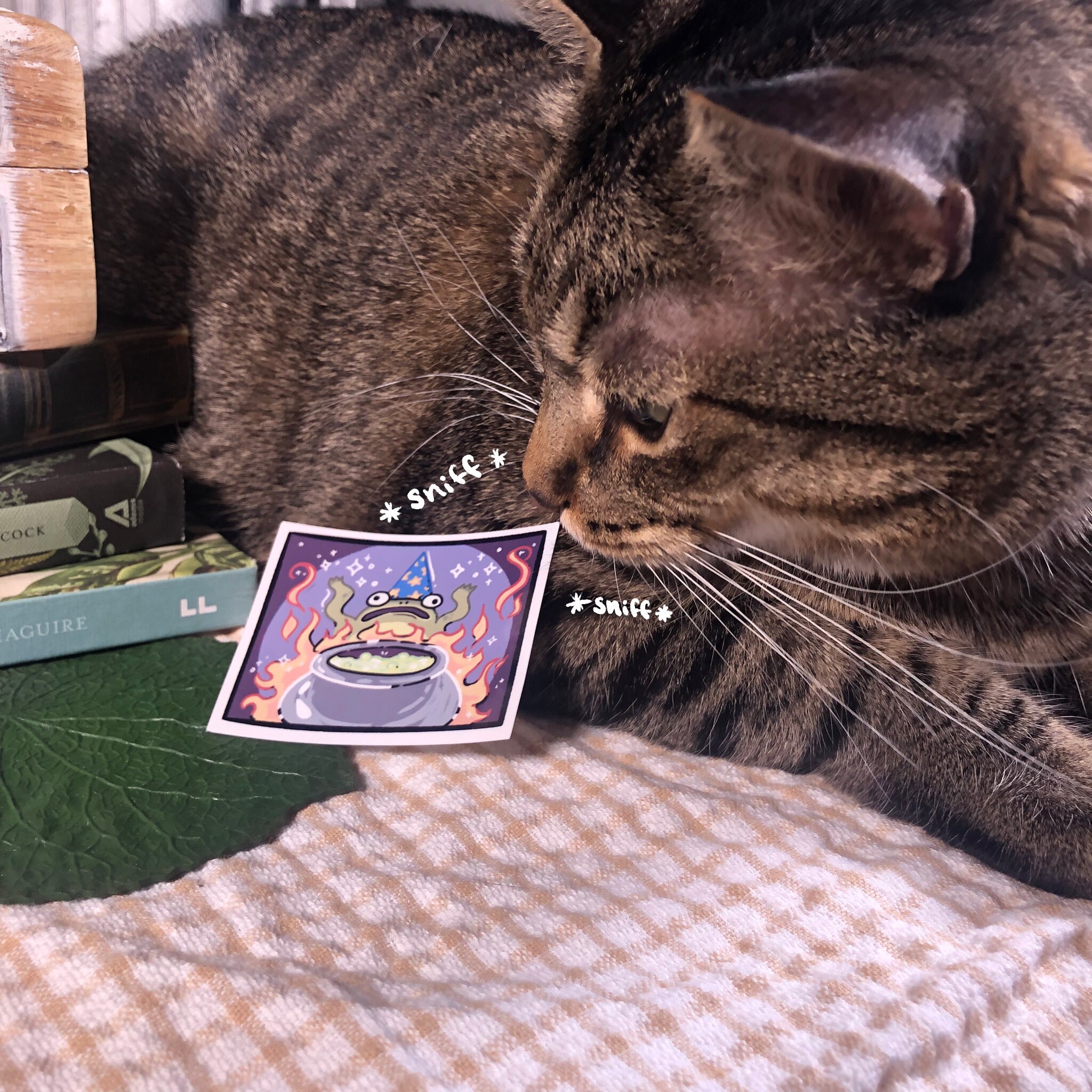 Conjuring Magical Wizard Frog Sticker - Etsy