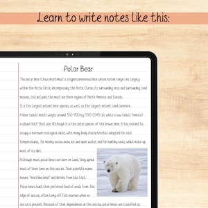 Handwriting Practice Sheets to Practice Calligraphy and Neat ...