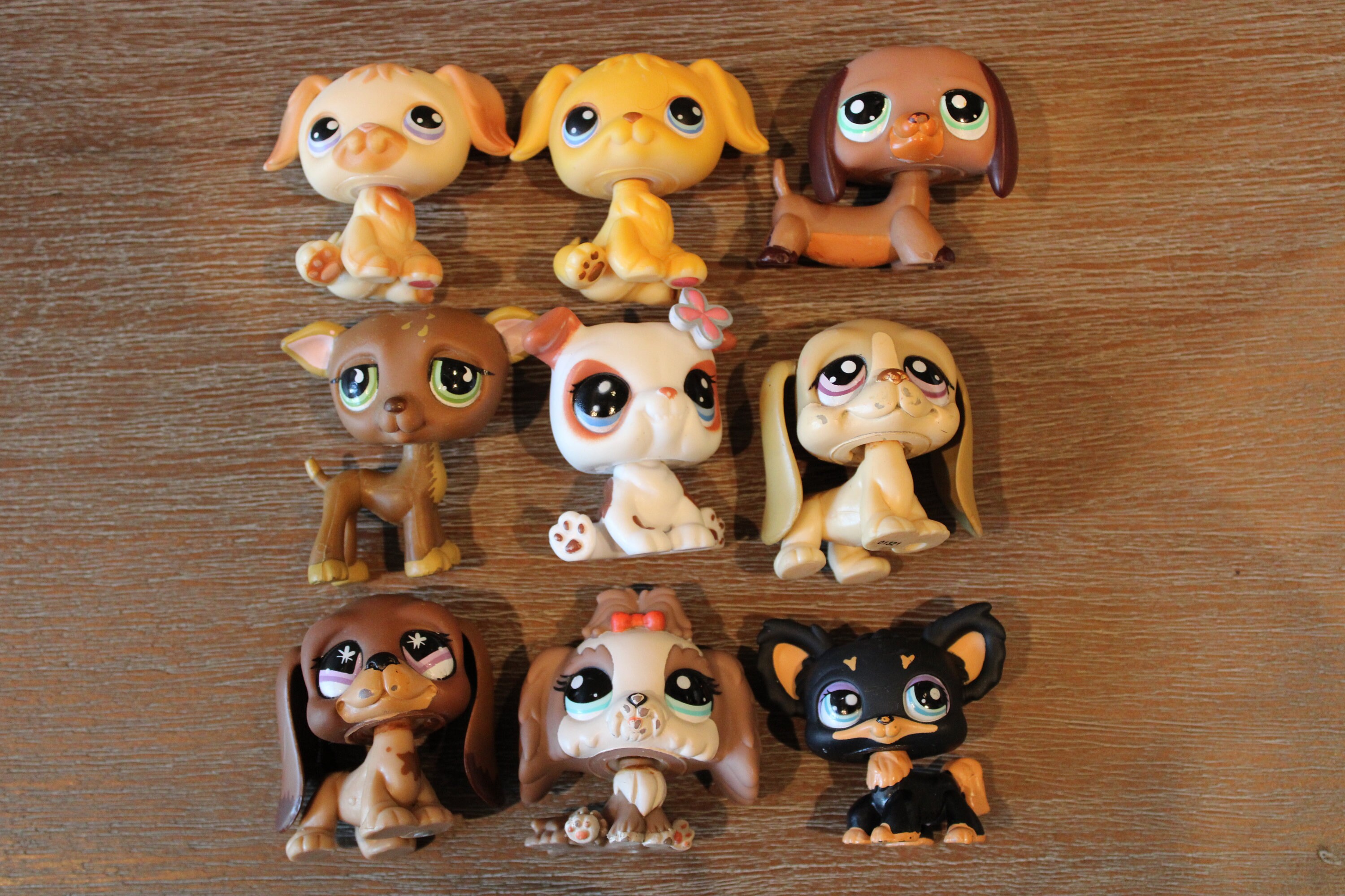 Littlest Pet Shop Wallpaper Dog