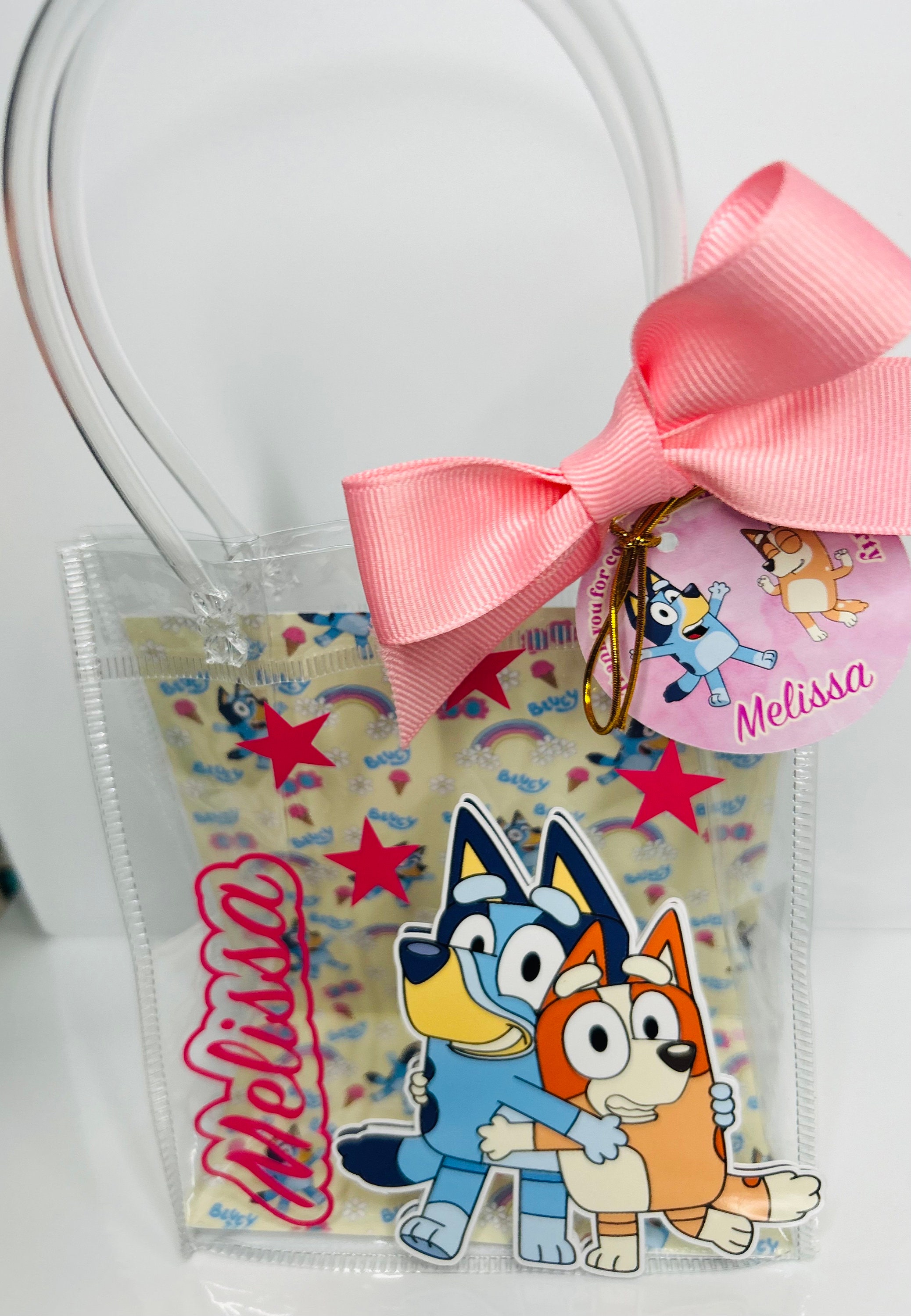 Bluey Clear Bags, Bluey and Bingo Party Clear Bag, Birthday Party Bag ...