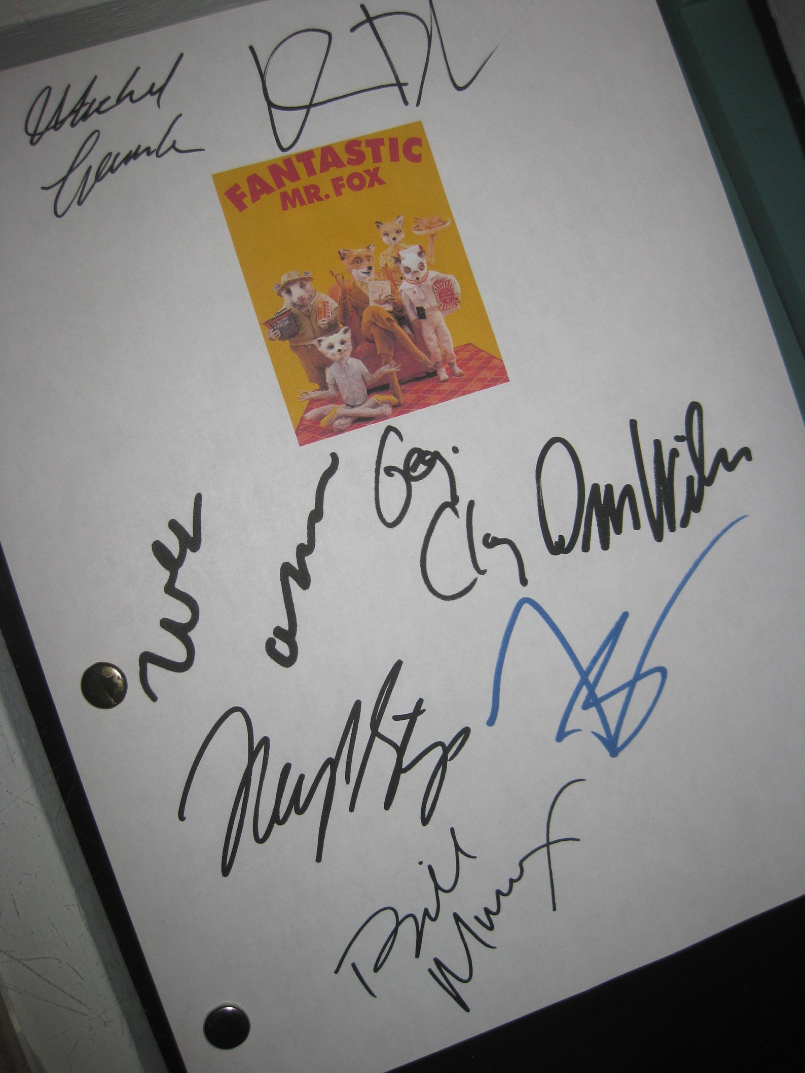 Fantastic Mr. Fox Signed Film Movie Screenplay Script X8 | Etsy