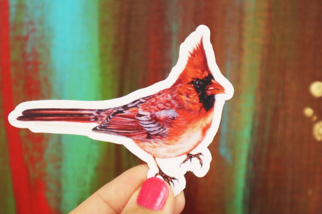 Red Cardinal, Northern Cardinal Bird Vinyl Stickers for Bottle,laptop ...