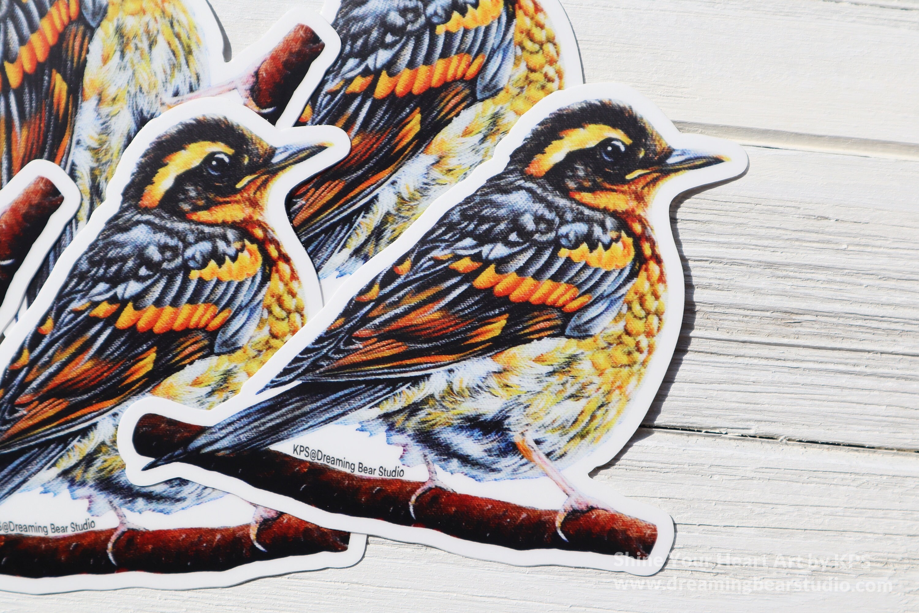 Varied Thrush Bird Stickers for Bottle,laptop,mugs,note,journal ...