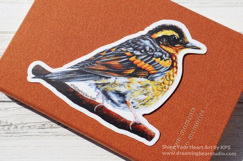 Varied Thrush Bird Stickers for - Etsy