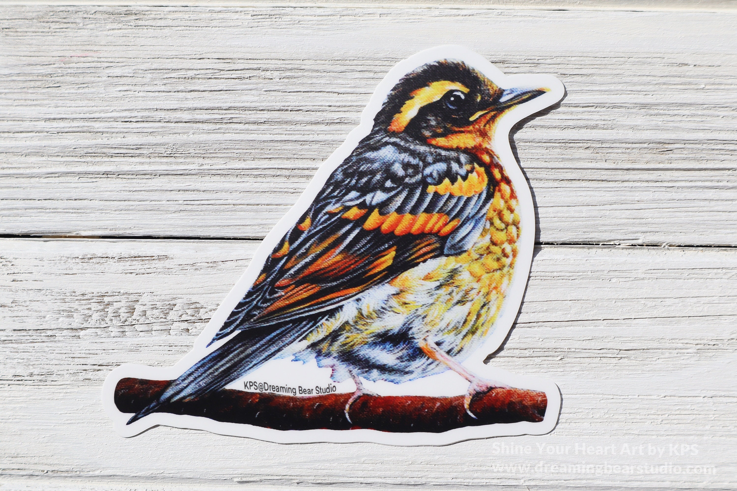 Varied Thrush Bird Stickers for - Etsy Hong Kong