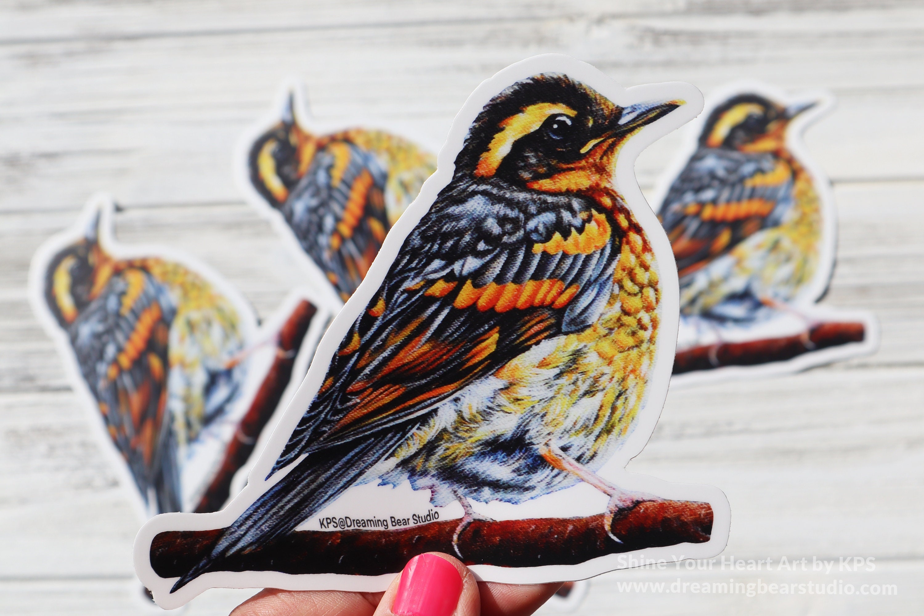 Varied Thrush Bird Stickers for - Etsy Hong Kong