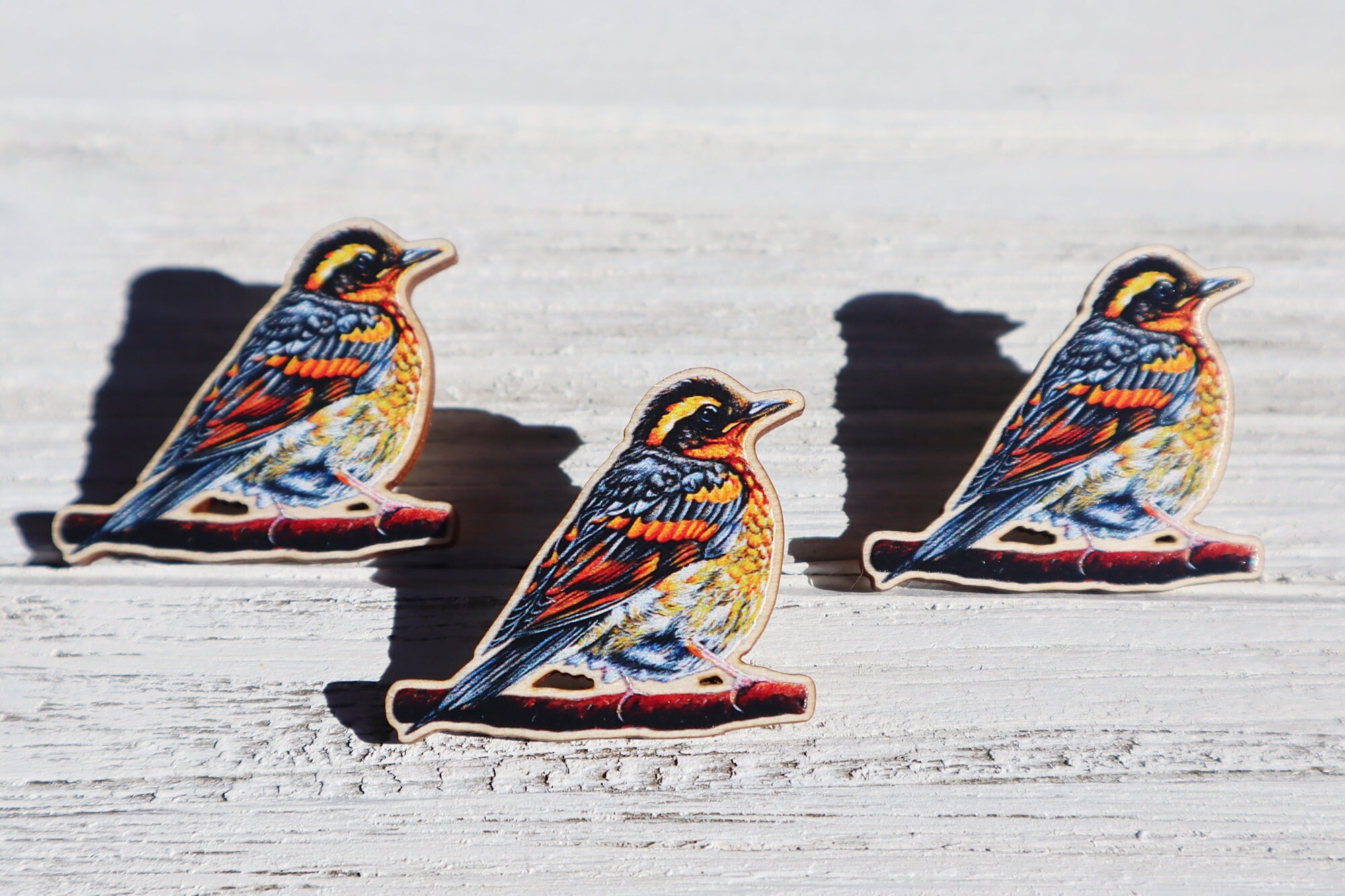 Varied Thrush Bird Wooden Pin Badge Varied Thrush Bird Wooden Pins 40 ...