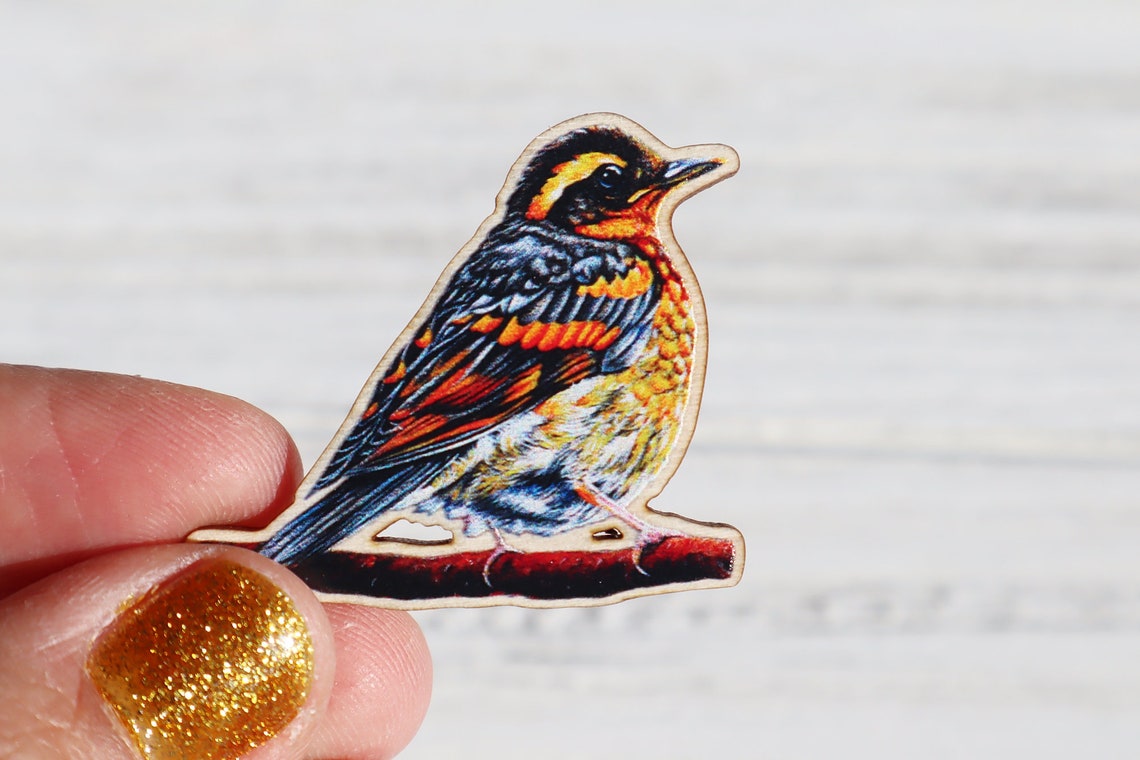 Varied Thrush Bird Wooden Pin Badge Varied Thrush Bird Wooden Pins 40 ...