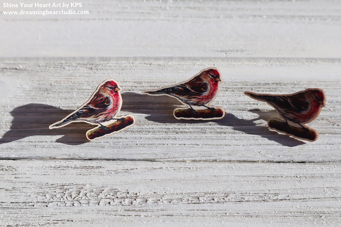 Bird Wooden Pins Badge Redpoll Wooden pin 35 mm wooden pin | Etsy