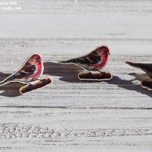 Bird Wooden Pins Badge - Redpoll Wooden Pin - 35 Mm Wooden Pin of ...