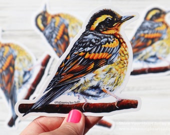 Thrush Sticker - Etsy