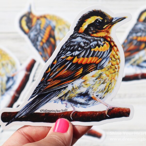 Thrush Bird - Etsy