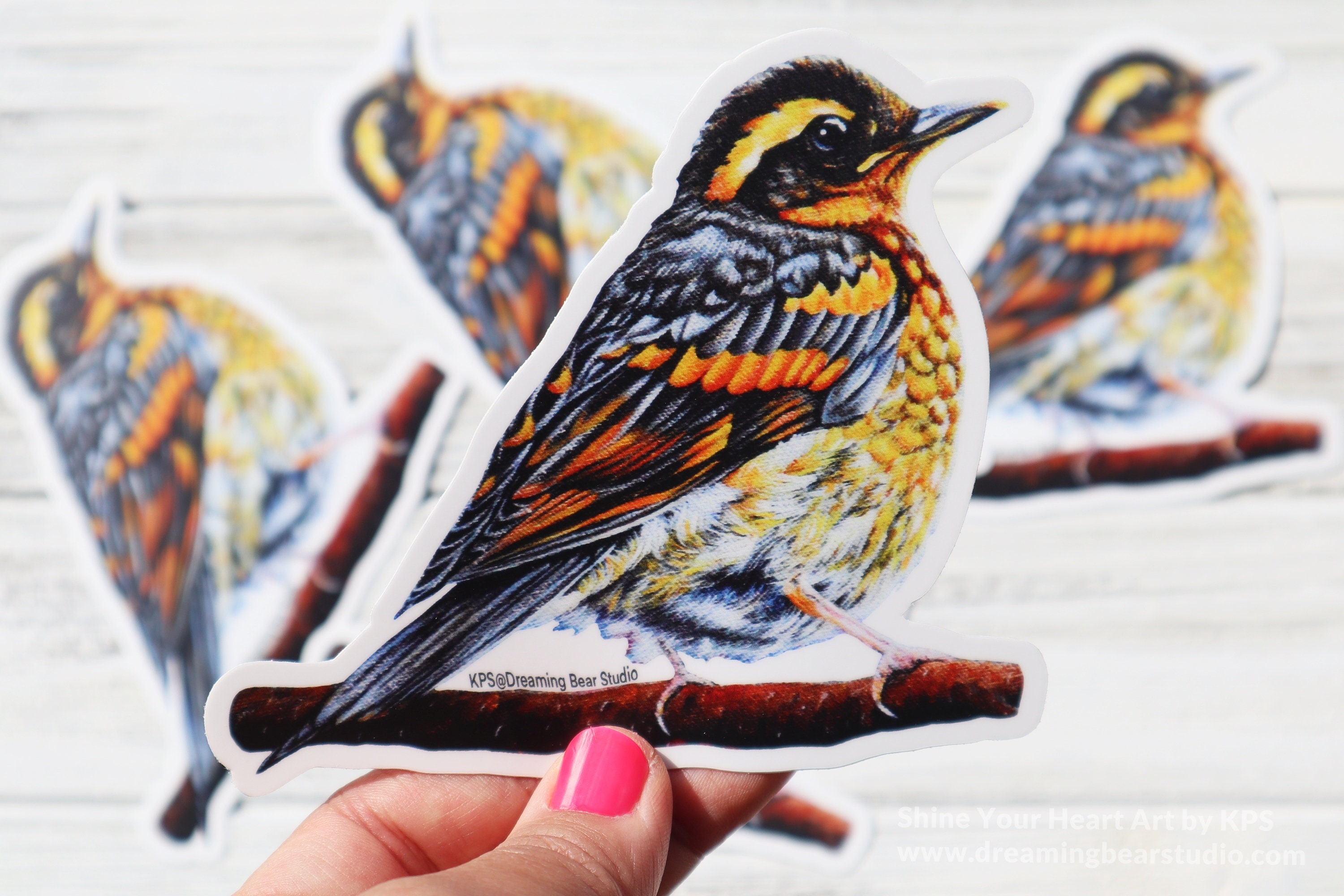 Varied Thrush Bird Stickers for Bottle,laptop,mugs,note,journal ...