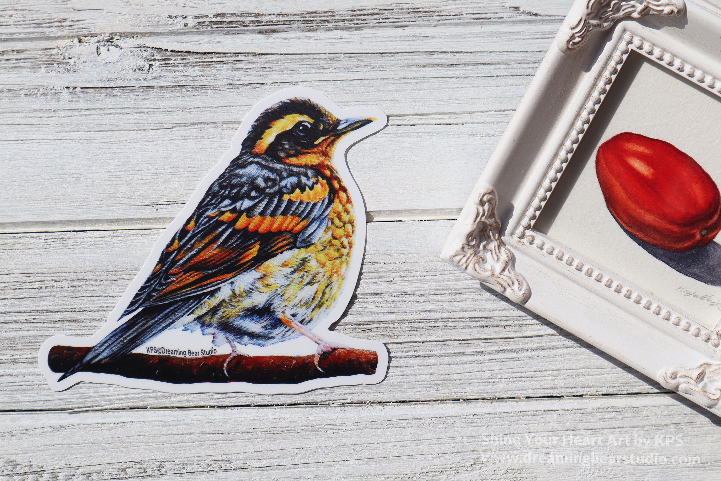 Varied Thrush Bird Stickers for Bottle,laptop,mugs,note,journal ...