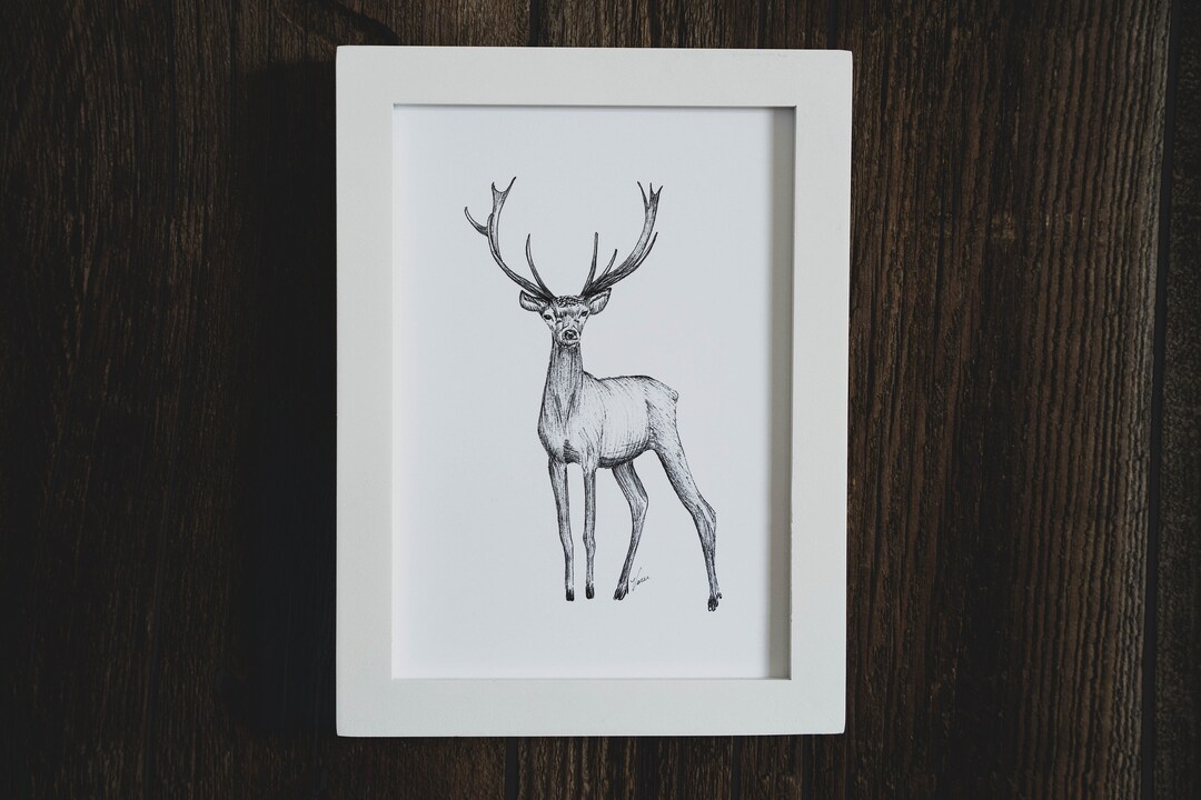 Stag Print, Pen and Ink Drawing - Etsy