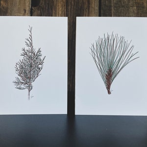 Juniper Sticker - Etsy