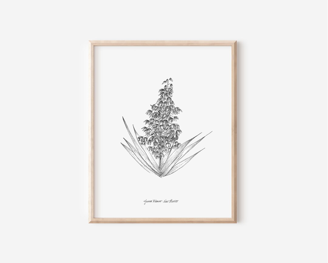 New Mexico Yucca Flower Print, State Flower Collection, 5x7, 8x10, Pen ...