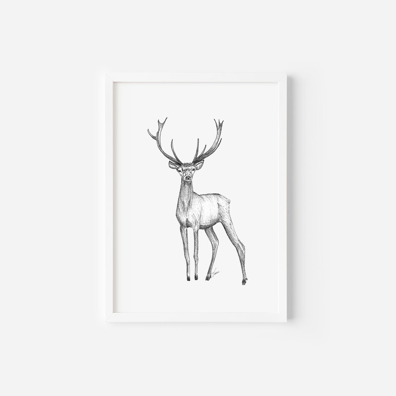 Pen and Ink Deer Art - Etsy