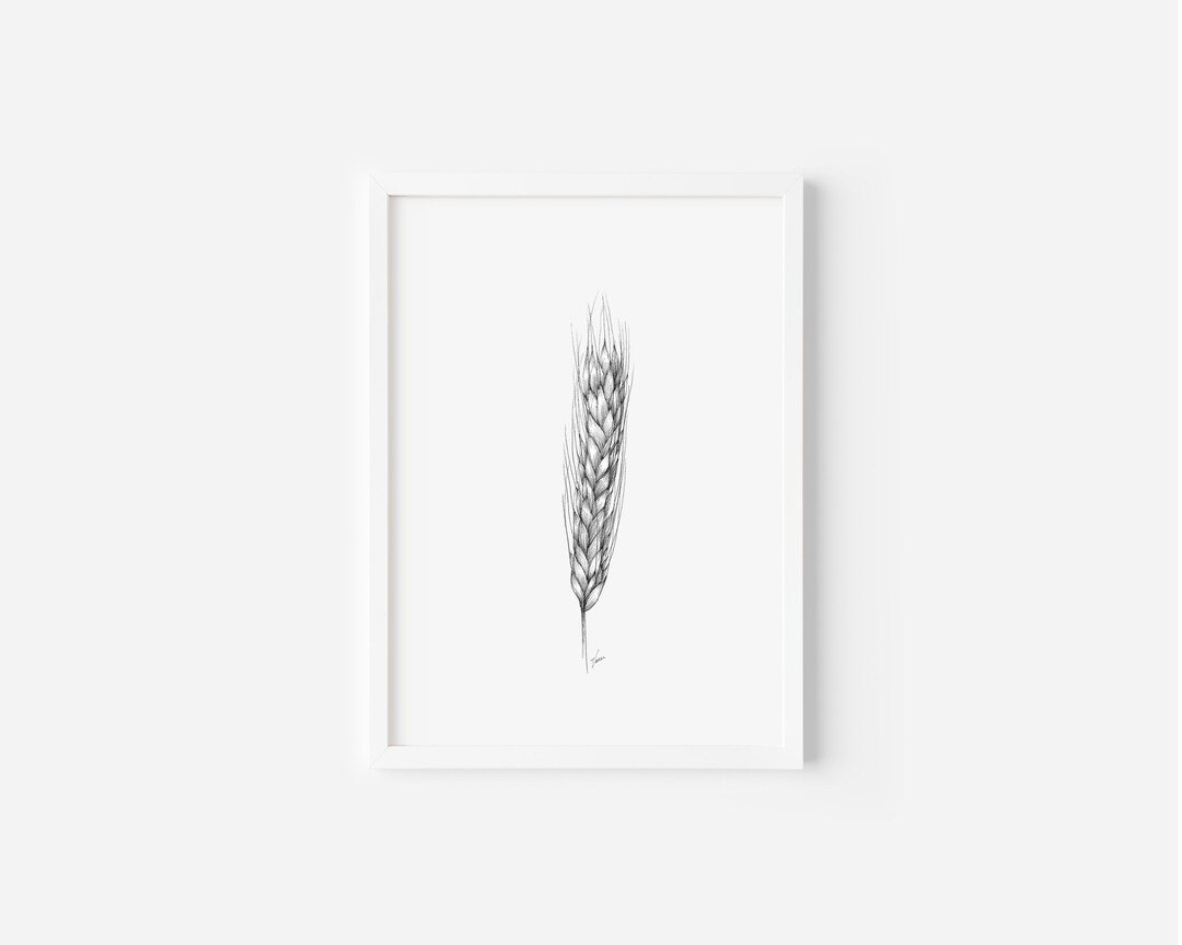 Wheat/oats/rye Print Set, 5x7, Pen and Ink Drawing - Etsy