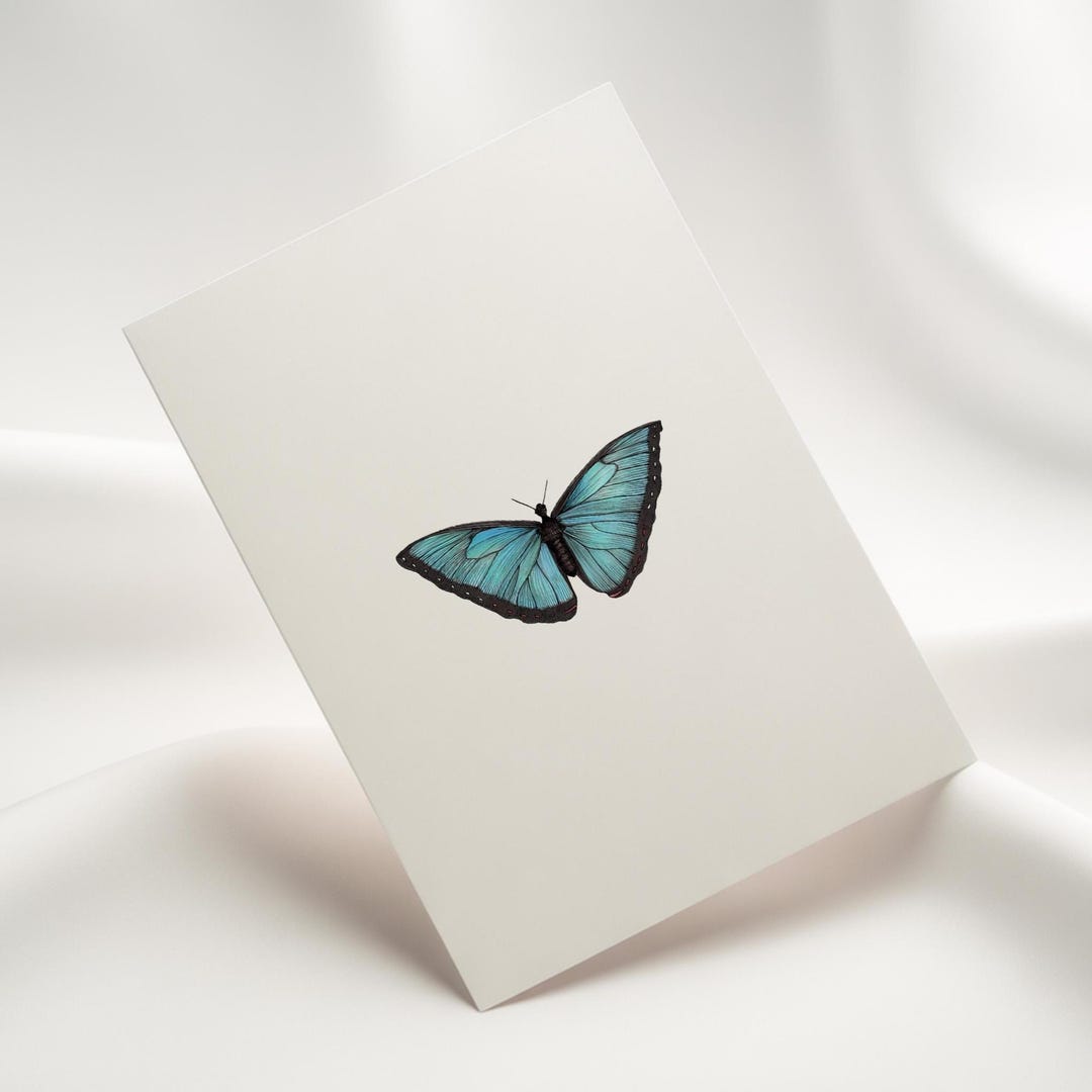 Blue Morpho Butterfly Notecard Set: Hand-drawn Pen & Ink Art - Etsy