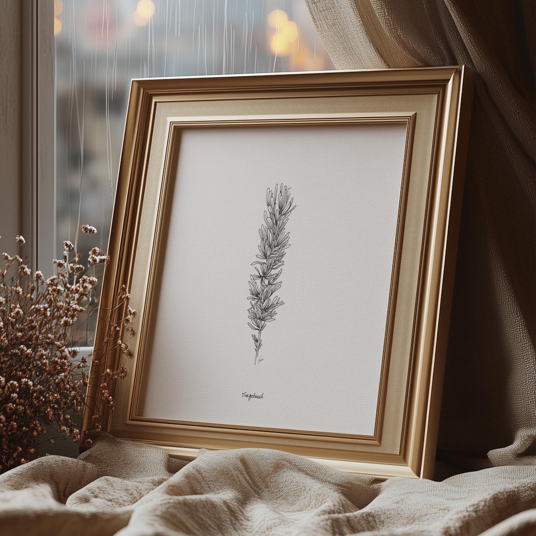 Sagebrush Ink Drawing Print: Nevada State Flower, Botanical Art - Etsy
