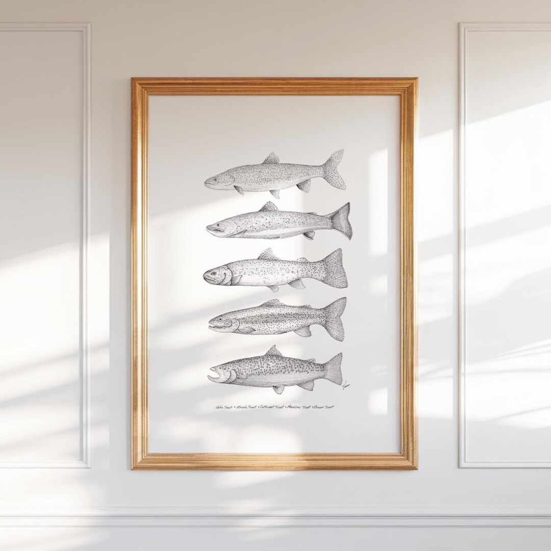 Colorado Trout Print: Pen and Ink Drawing, Angler Wall Art - Etsy