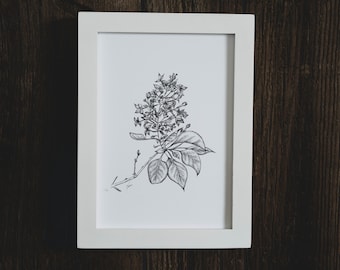 Limited Edition Print of a Pen and Ink Drawing of Whitby - Etsy