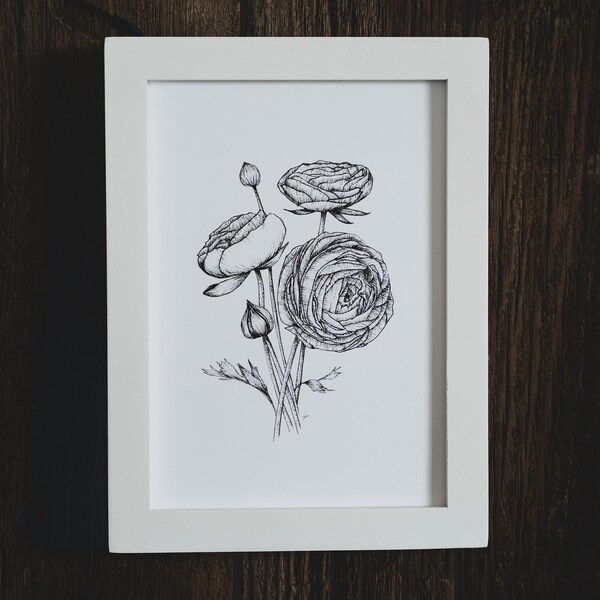 Ranunculus Print - Etsy