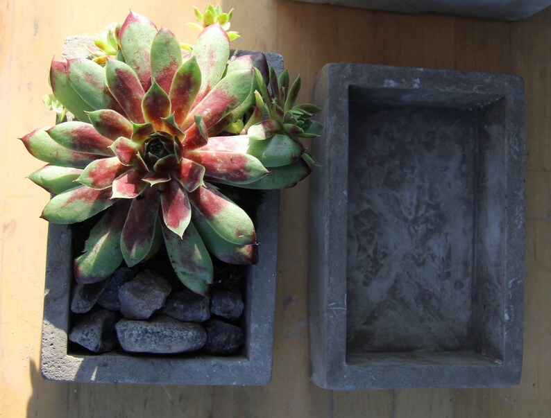 Rectangular bird bath stone bath 35 x 14 cm with bird | Etsy