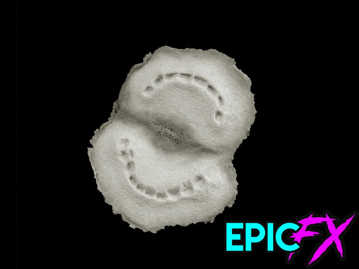 Bite Wound | Foam Latex Prosthetic | Special FX Makeup | Epicfx - Etsy