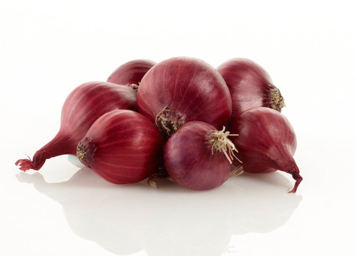 Red Pearl Onion Bulbs Organic Red Pearl Onions Red Pearl - Etsy