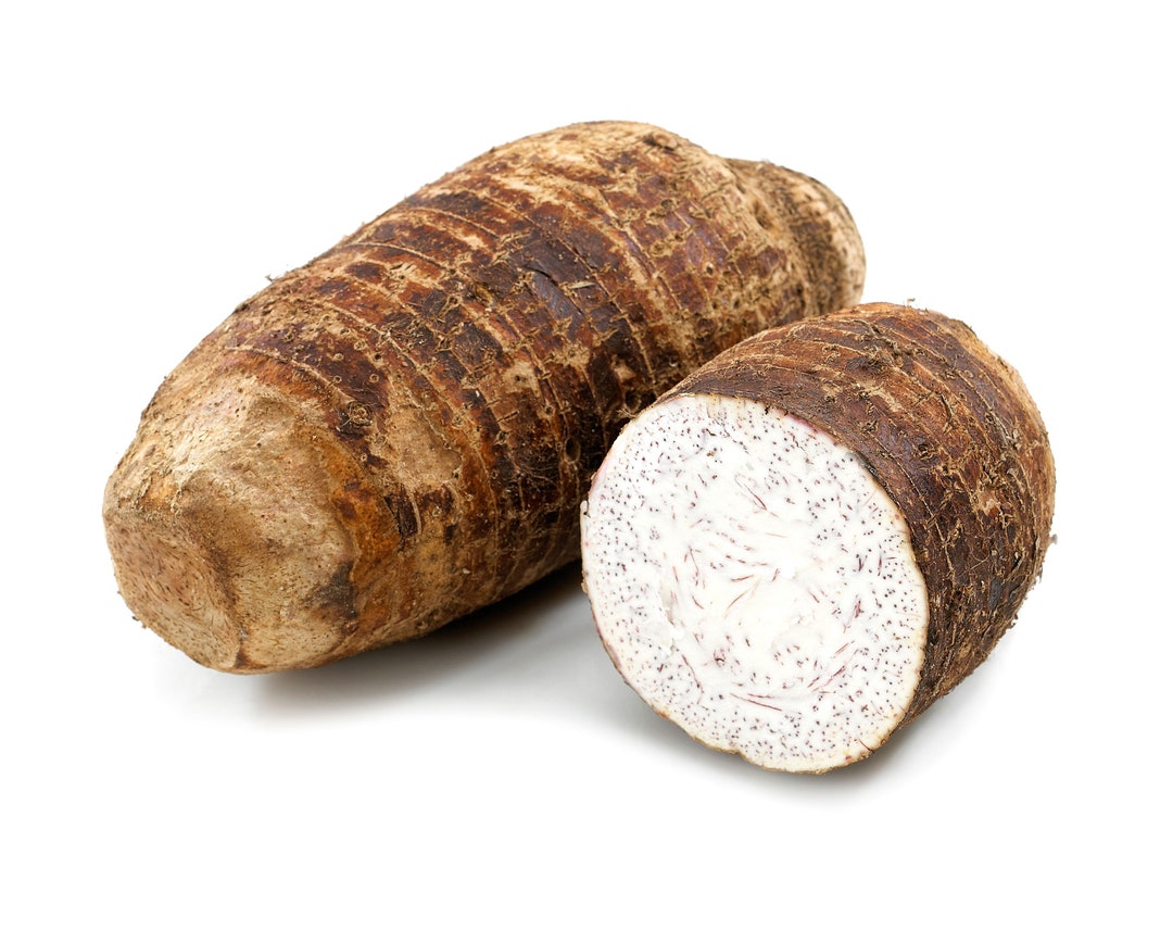 Malanga Coco Yam, Malanga Coco Root, Yautia, Cocoyam, Tannia, Eddo 4 ...