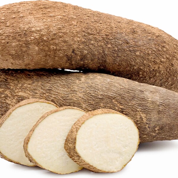 African Yam Tubers - Etsy