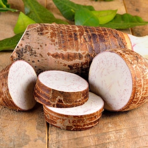 Malanga Coco Yam, Malanga Coco Root, Yautia, Cocoyam, Tannia, Eddo ...