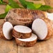 Malanga Coco Yam, Malanga Coco Root, Yautia, Cocoyam, Tannia, Eddo 4 ...