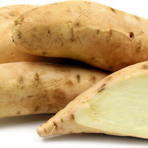 White Sweet Hannah Potatoes 2 lbs White Yam Hannah Potatoes | Etsy