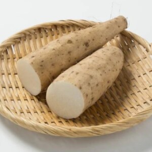 Chinese Yam, Dioscorea Polystachy, Nagaimo 3 Lbs - Etsy