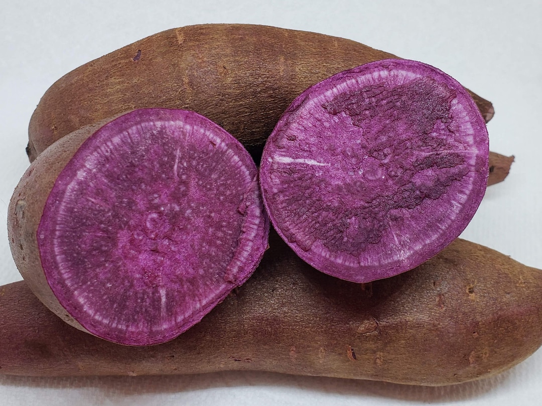 Fresh Ube, Purple Yam Ube, Ube Root, Ube Bulb, Greater Yam, Purple ...