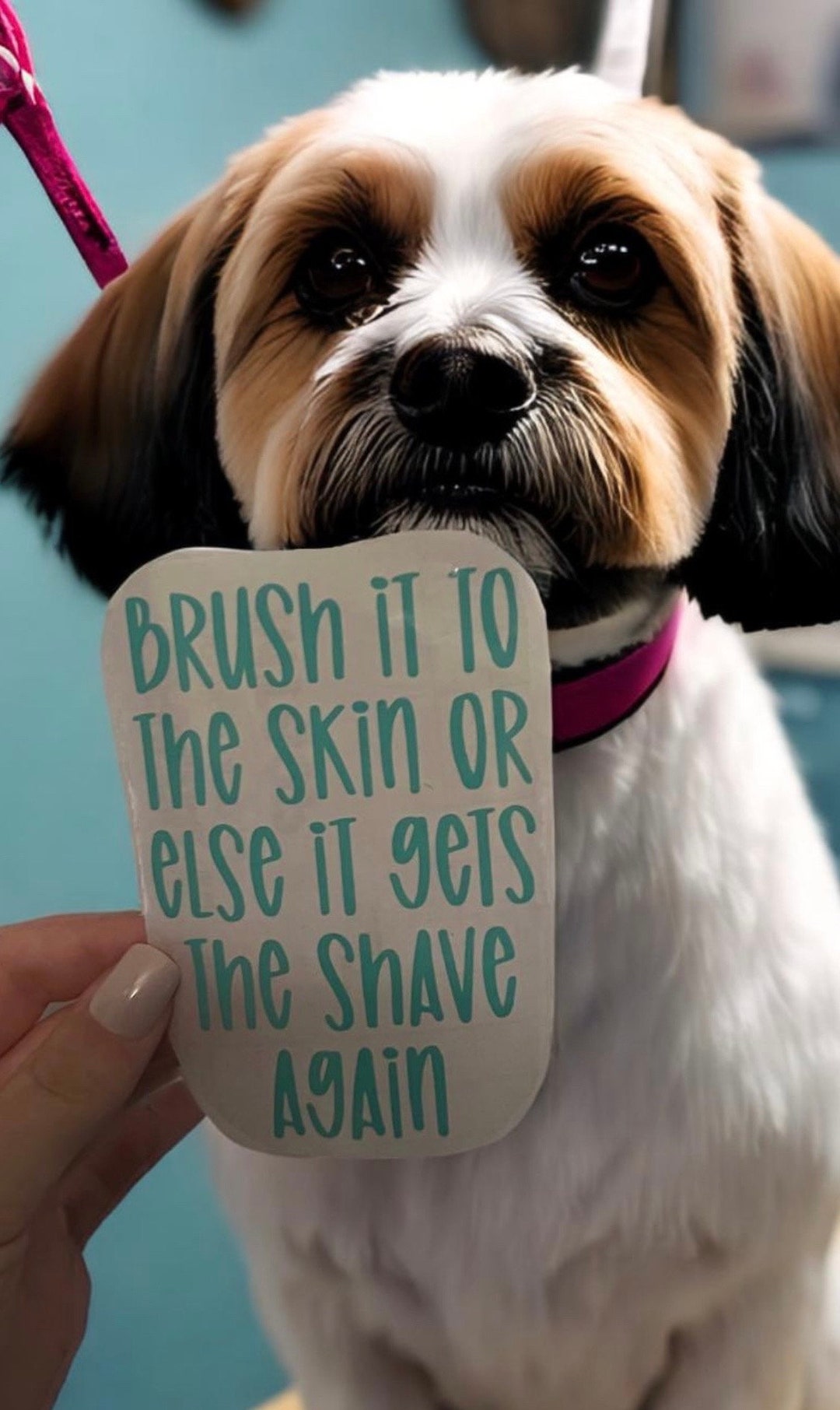 Brush It to the Skin or Else It Gets the Shave Again Decal - Etsy